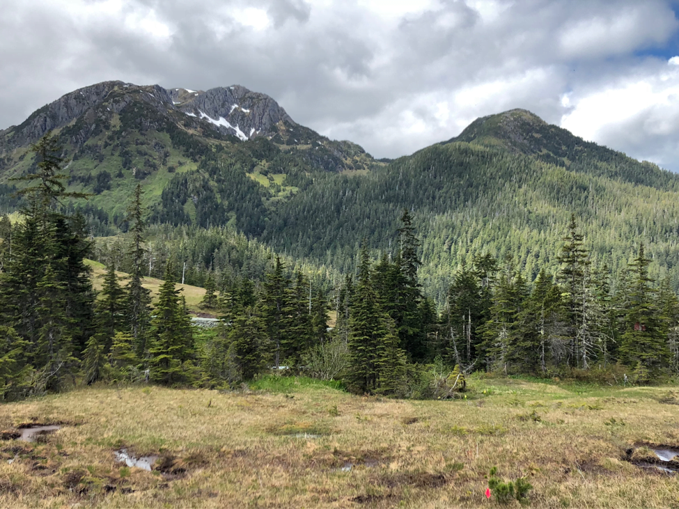 Eaglecrest Cabin Project – Hilda Dam Cabin - Juneau Community Foundation